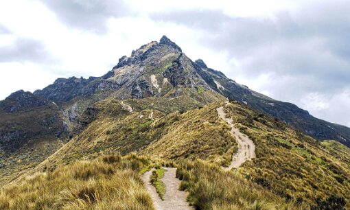 Rucu Pichincha