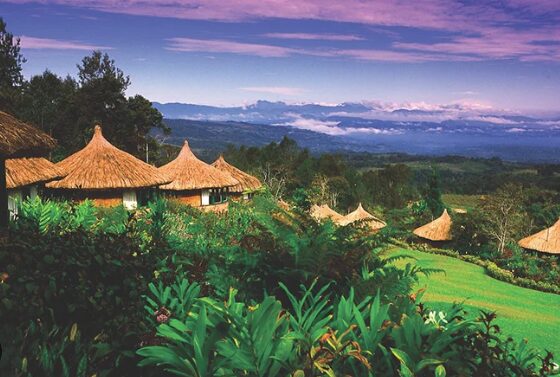 Papua New Guinea Highlands - Wild Expedition