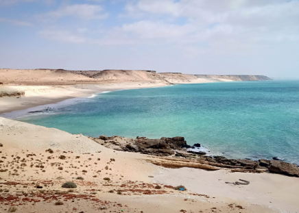 Dakhla Bay - Wild Expedition